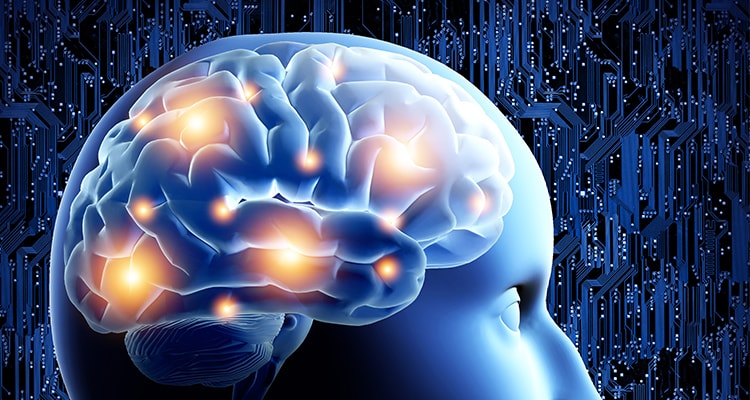 Neurofisiologia e Estudos Neurofisiologicos - Hospital Particular do ...